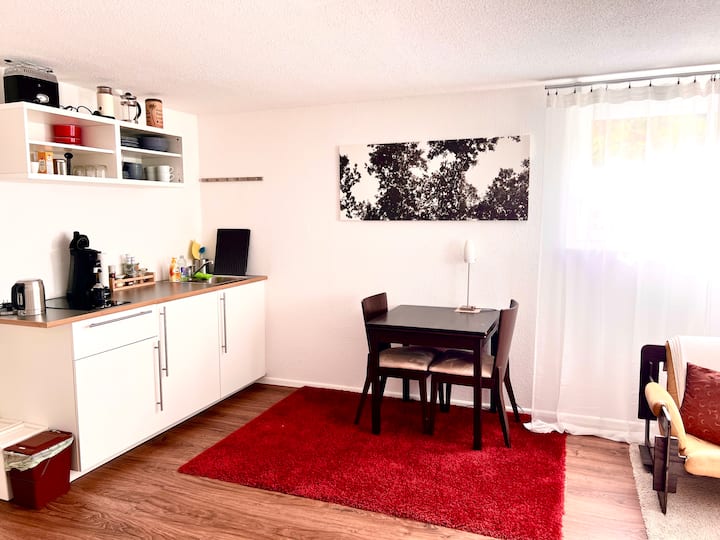 Helle Einliegerwohnung In Freiburg-merzhausen - Fribourg-en-Brisgau