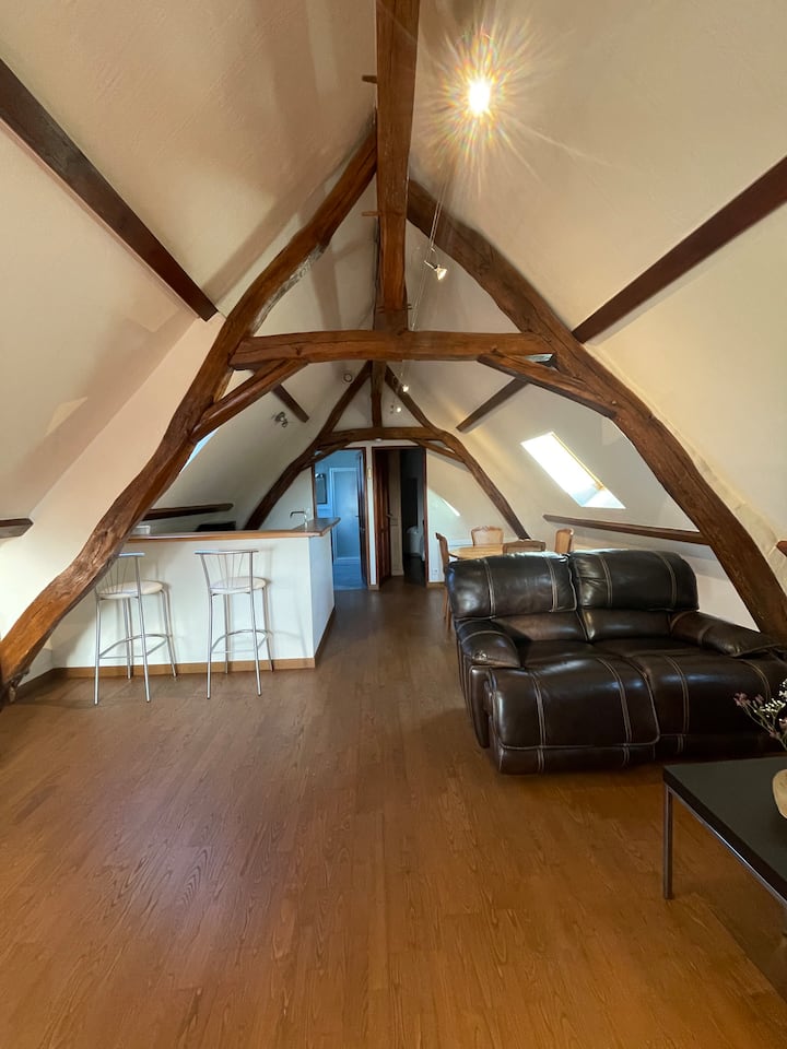 Gîte Tourangeau Dans La Vallée De La Loire - Bléré