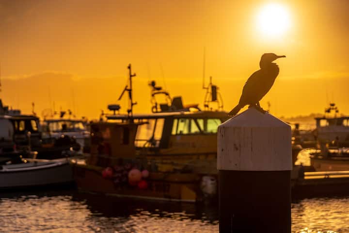 The Apartment. Perfect Location. - Sandbanks