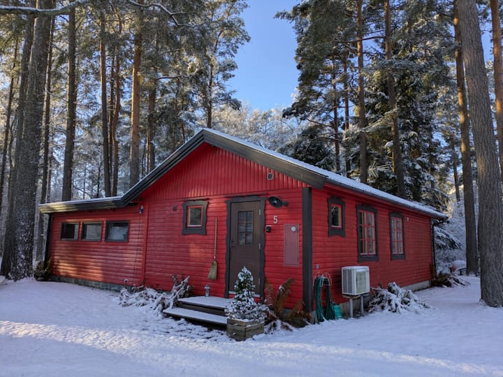 Familjestuga I Skogsidyll - Sjöbo