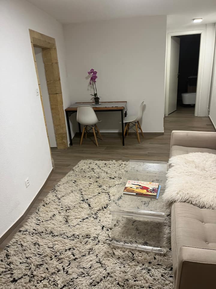 Cozy Flat Near Lake & Vineyards - Neuenburg