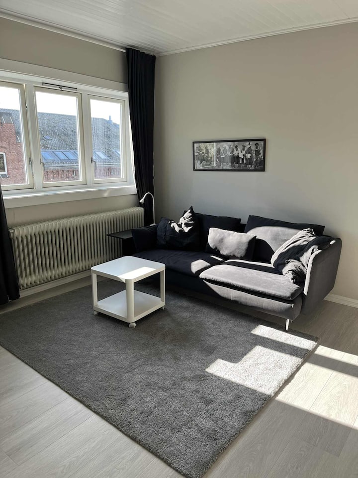 Enkel, Liten, Sentral Leilighet - Oslo