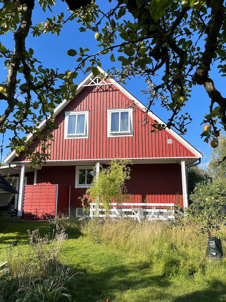 „Björken“ - Tingsryd