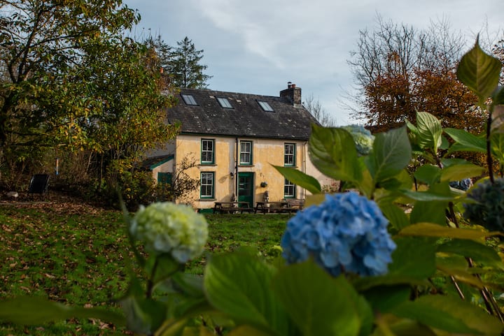 Fairytale Victorian Farmhouse - Lampeter