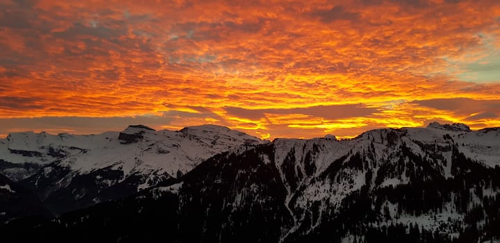 Appartement Au Pied Des Pistes - Les Carroz d'Arâches