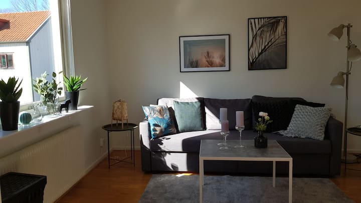 Fin Lägenhet I Göteborg - Göteborg