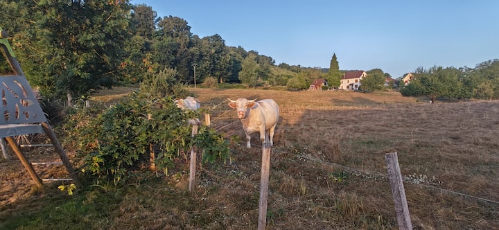 Gite De Charme En Isère Pour 4 Personnes - Le Pont-de-Beauvoisin
