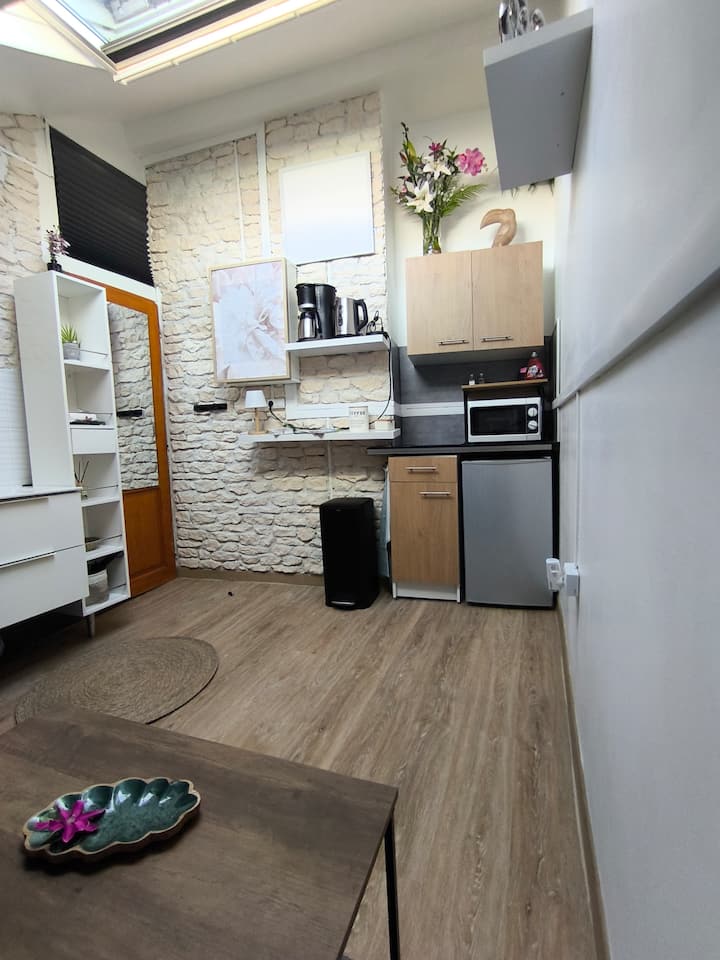 Studette Atypique Centre-ville - Dijon