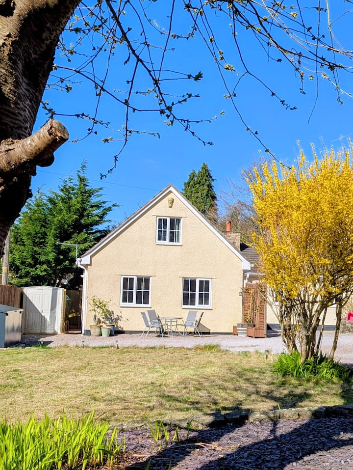 Peaceful And Spacious Forest-edge Annexe - Forest of Dean