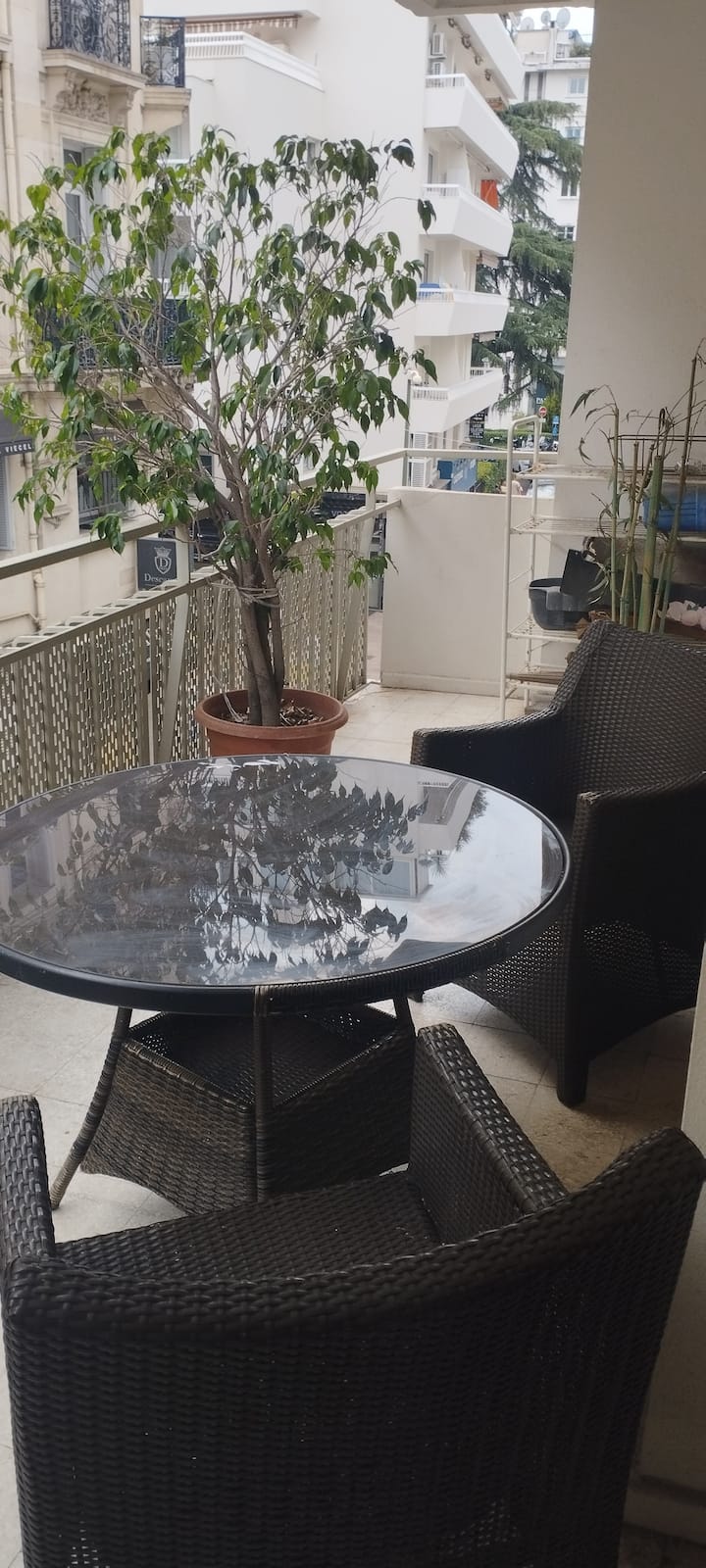 Appartement Cannes Centre - Cannes