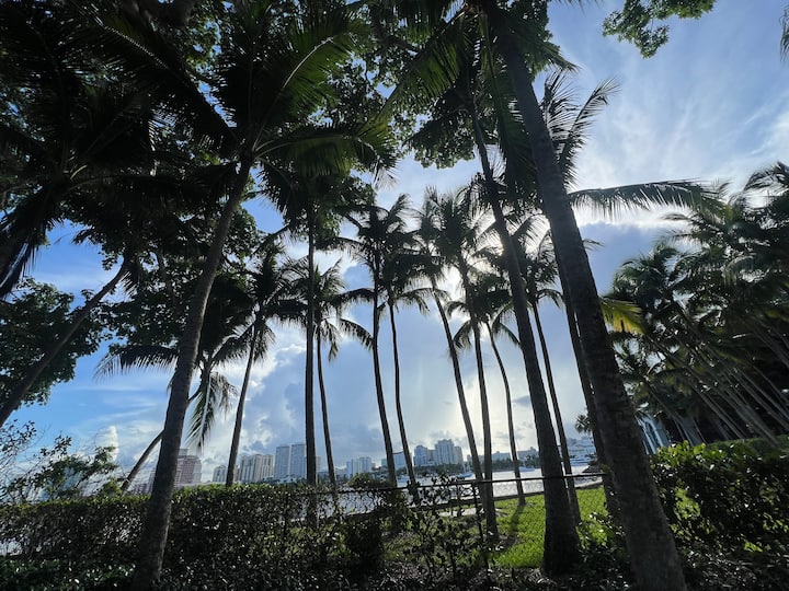 In The Heart Of Wpb - West Palm Beach, FL