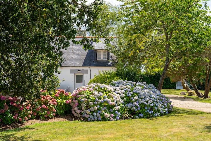 Grand Deux Pièces Près Plages - Bénodet