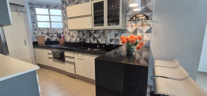 Novíssimo Apê-ótima Localização - Santos State