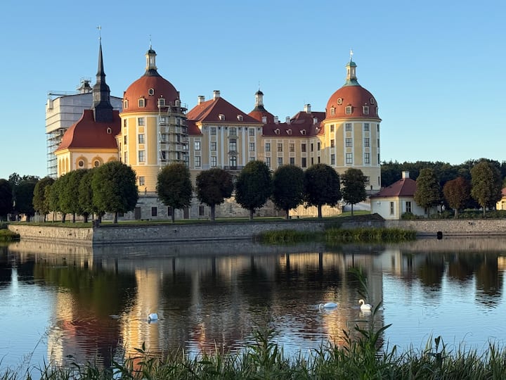 Ruhiges & Zentrales Zu Hause - Dresden