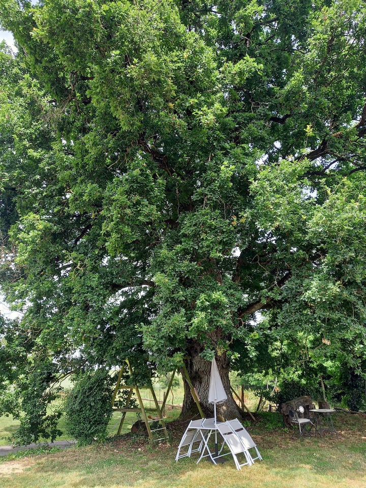 Maison De Charme Au Calme - Lusignan