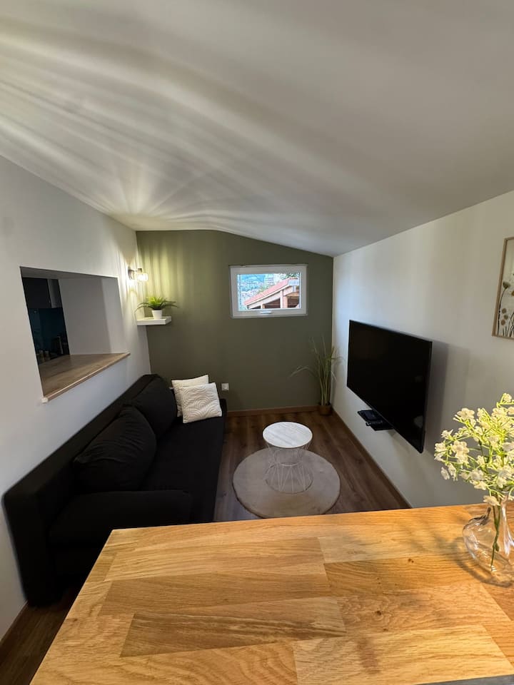 Le Patio Naturel - Saint-Étienne