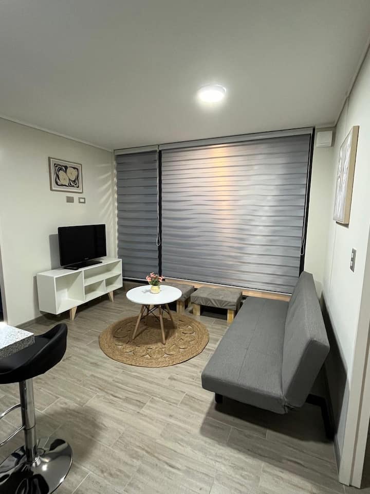 Departamento Céntrico Amoblado - Chillan