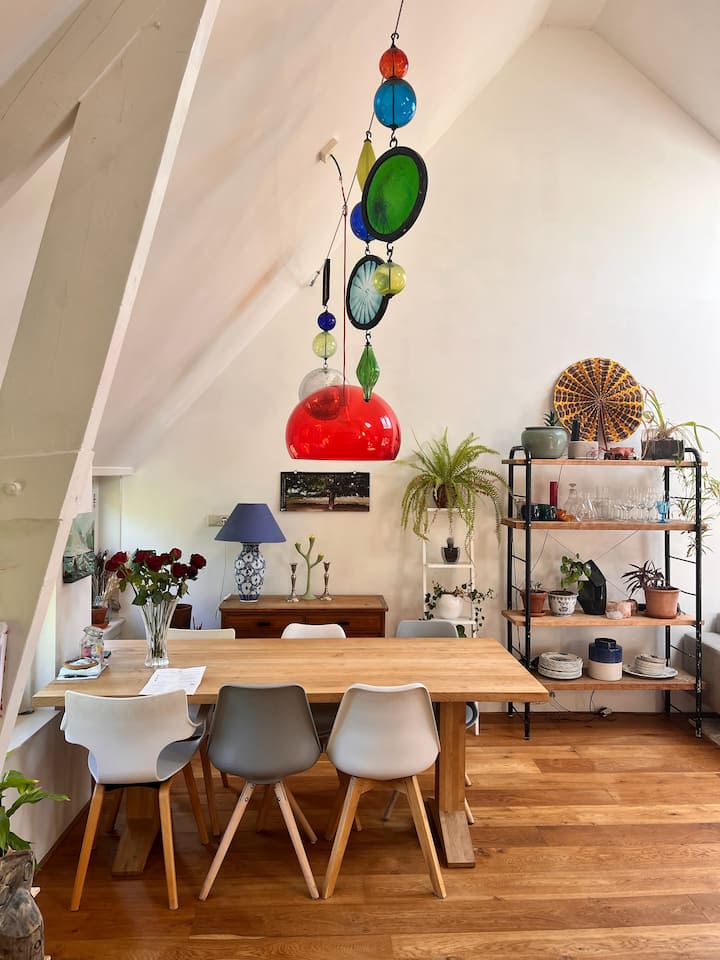 Veel Licht En Groot Dakterras - Amsterdam