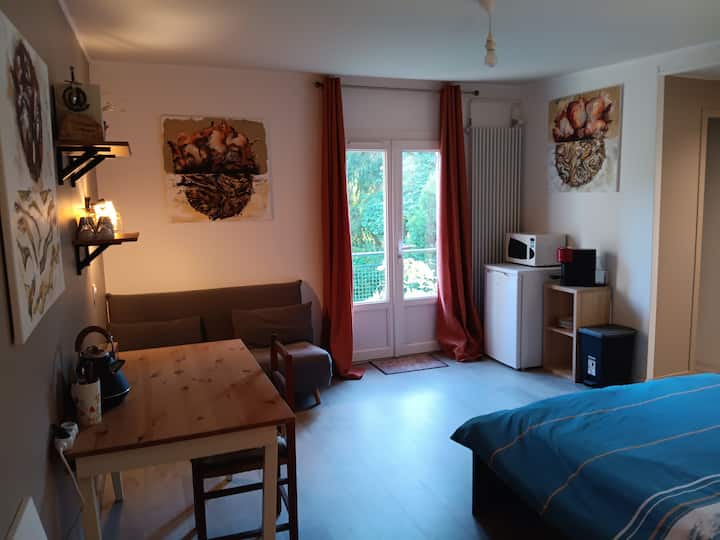 Grde Chambre Indépendante Ac Sdb - Poitiers