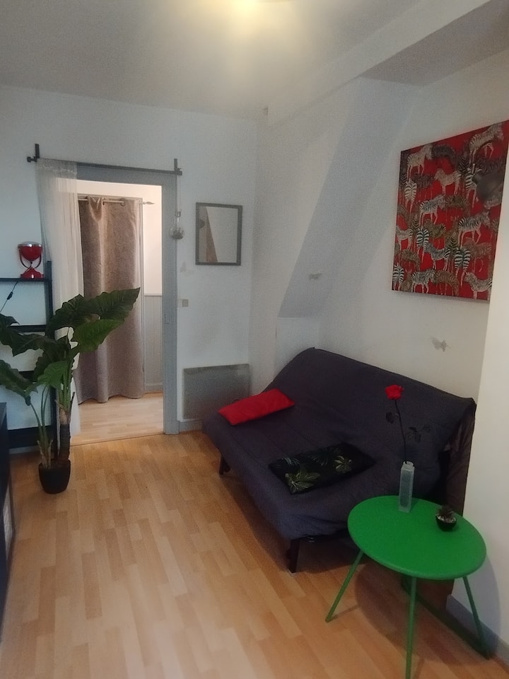 T2 Cocconing 500 M Du Château @Hyper-centre/calme - Pau