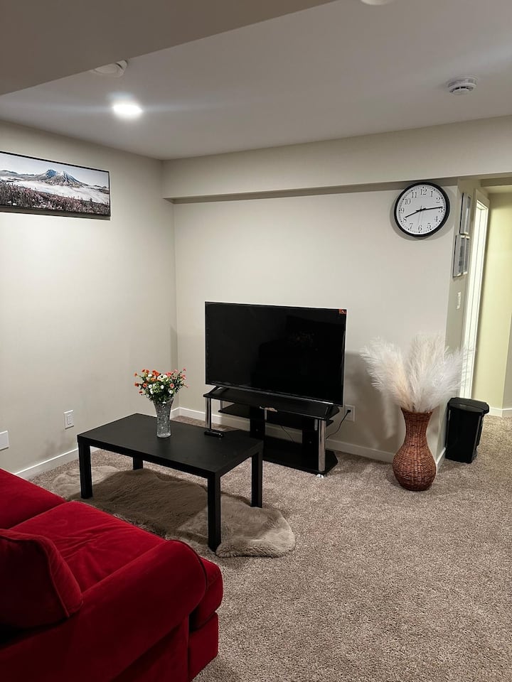 A Super New Executive 1bedroom - Winnipeg