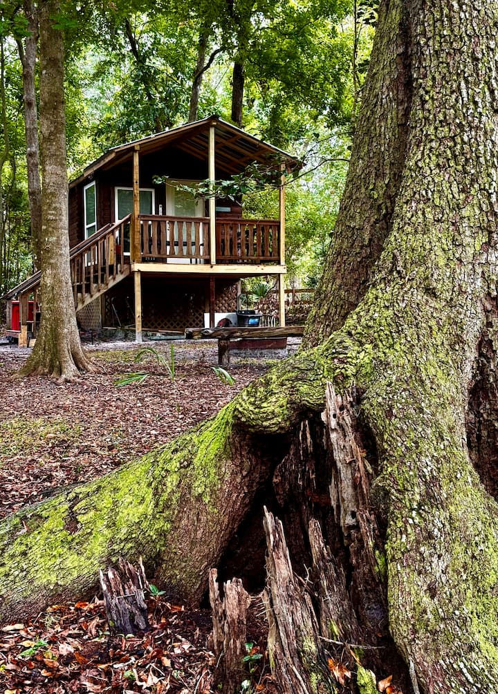 Up Ta Camp - Ichetucknee Springs State Park, Fort White