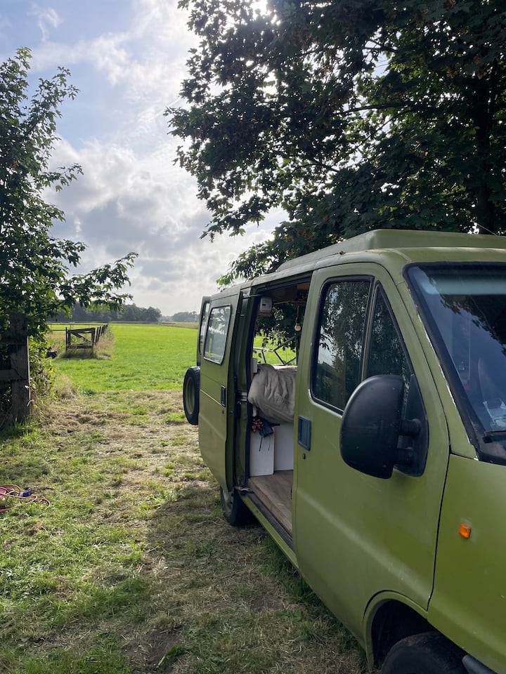 Unieke Natuur Ervaring - Heerenveen