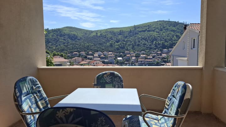 Dvornik - Dvosobni Apartman Za Miran Odmor. - Smokvica