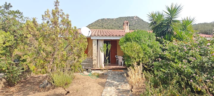 Istellas Casa Vacanze - Solanas
