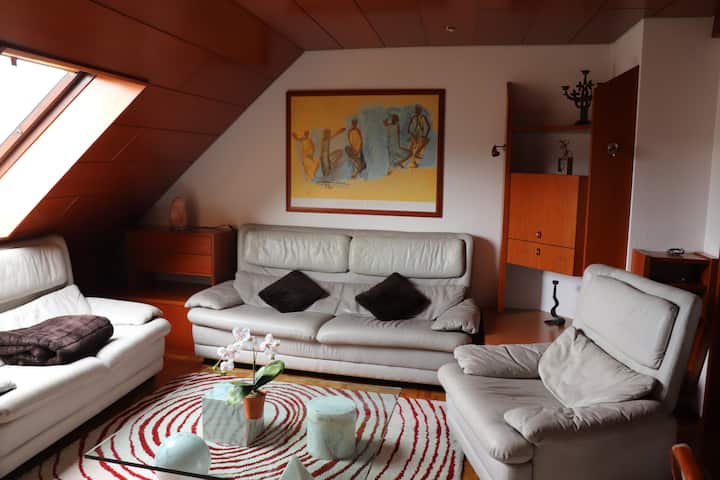 Casa Vilici - Saarlouis