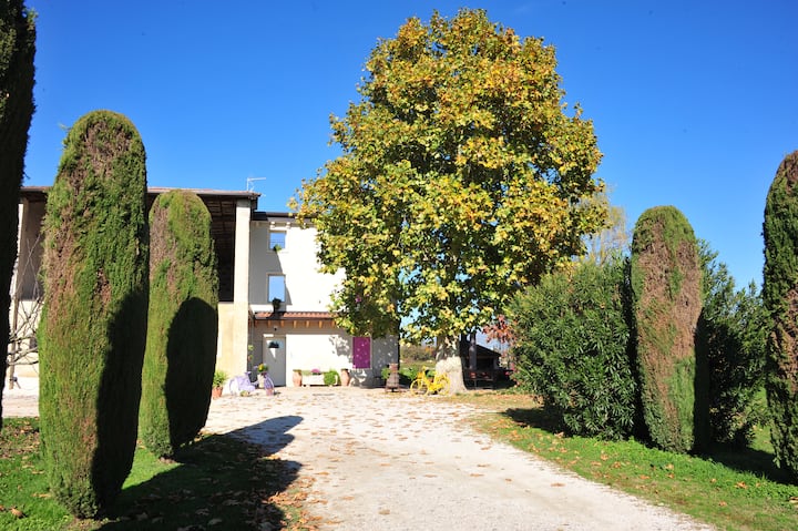 Agriturismo Corte Bonetti - Appartamento Il Salice - Bussolengo