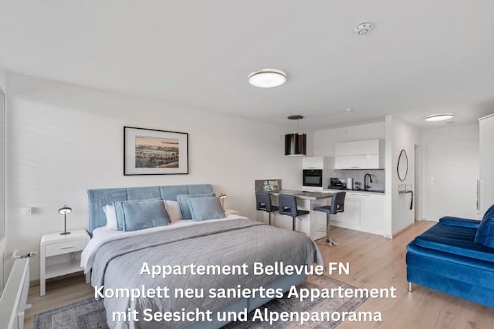 Bellevue Fn, Fewo Mit Seeblick - Friedrichshafen