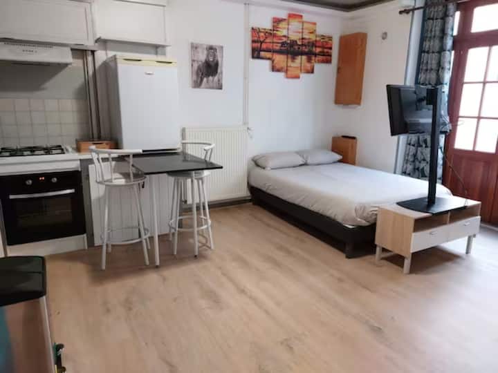 Studio "Le Sauvage" Centre Ville - Riom
