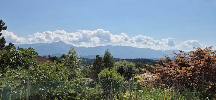 Charmantes Appartement Im Grünen - Ossiach