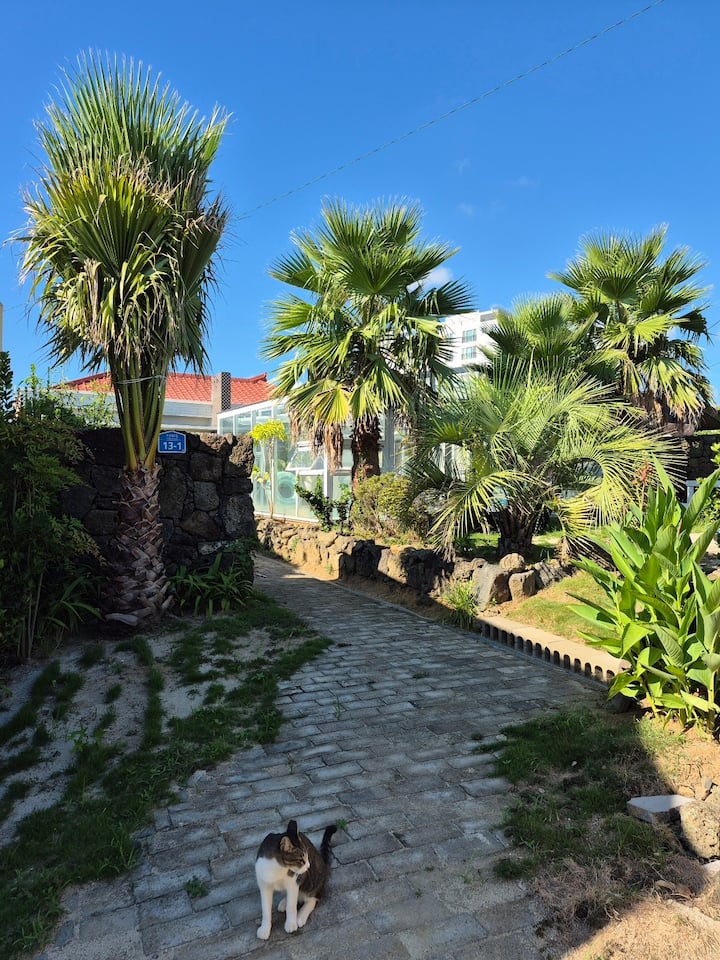 그레이풀네스(오픈특가) - Jeju-si