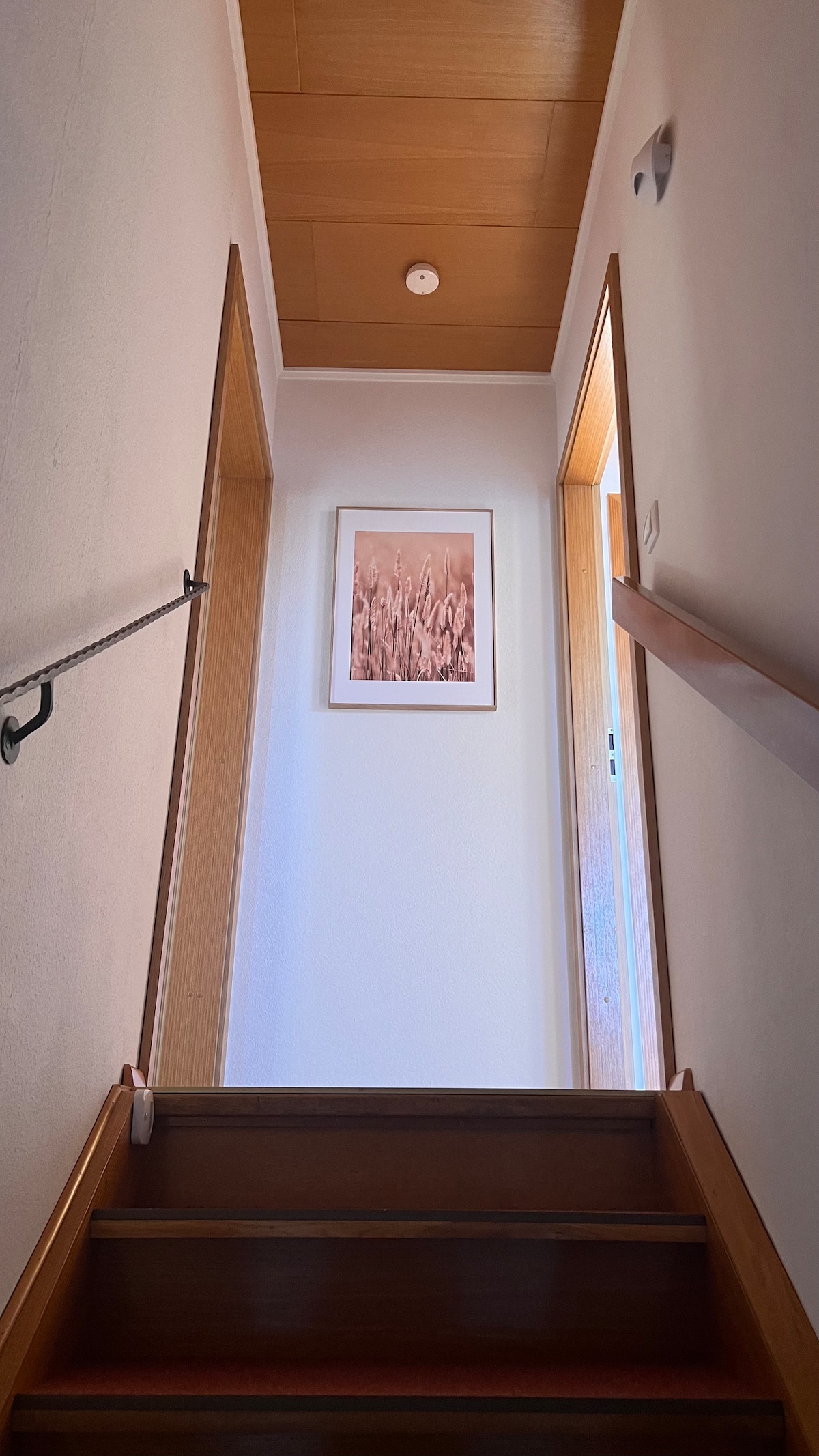 Schwarzwald Apartments III - Apartments for Rent in Lenzkirch, Baden ...