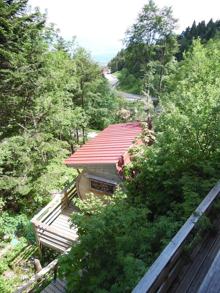 Tonneau Col De La Faucille - Gex