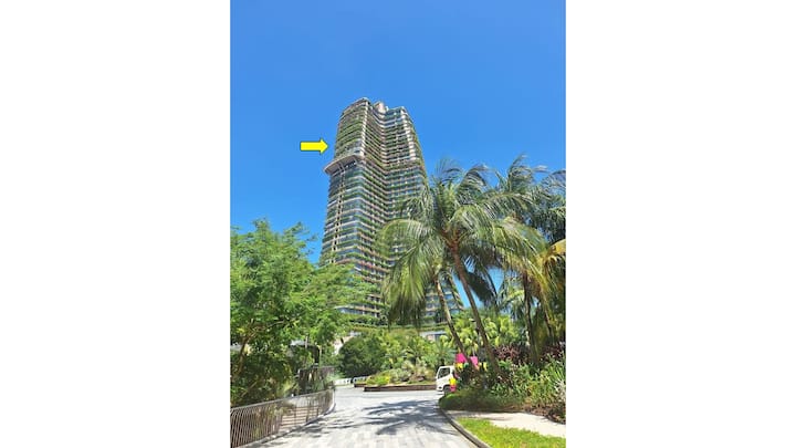 Seaview @Landmark Carnelian Forest City/ Tuas Link - Kukup