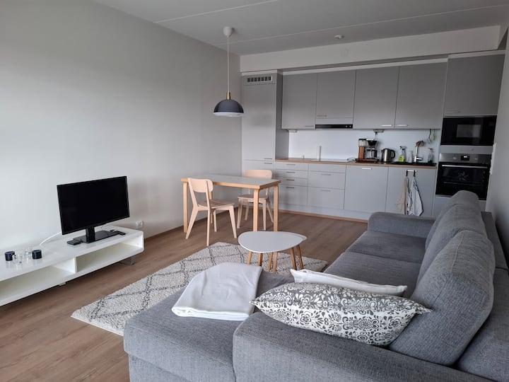 Viihtyisä Saunallinen Kaksio - Renko