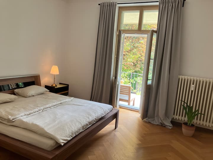 Lovely Old Building Apt - Free Travel Card&parking - Basel