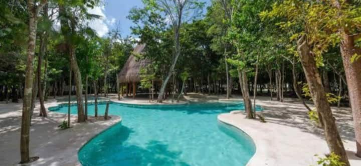 Welcome To Your Jungle Retreat. - Puerto Morelos
