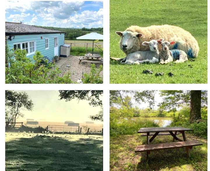Park Farm Chalet
Fishing & Dog Walks - Kent