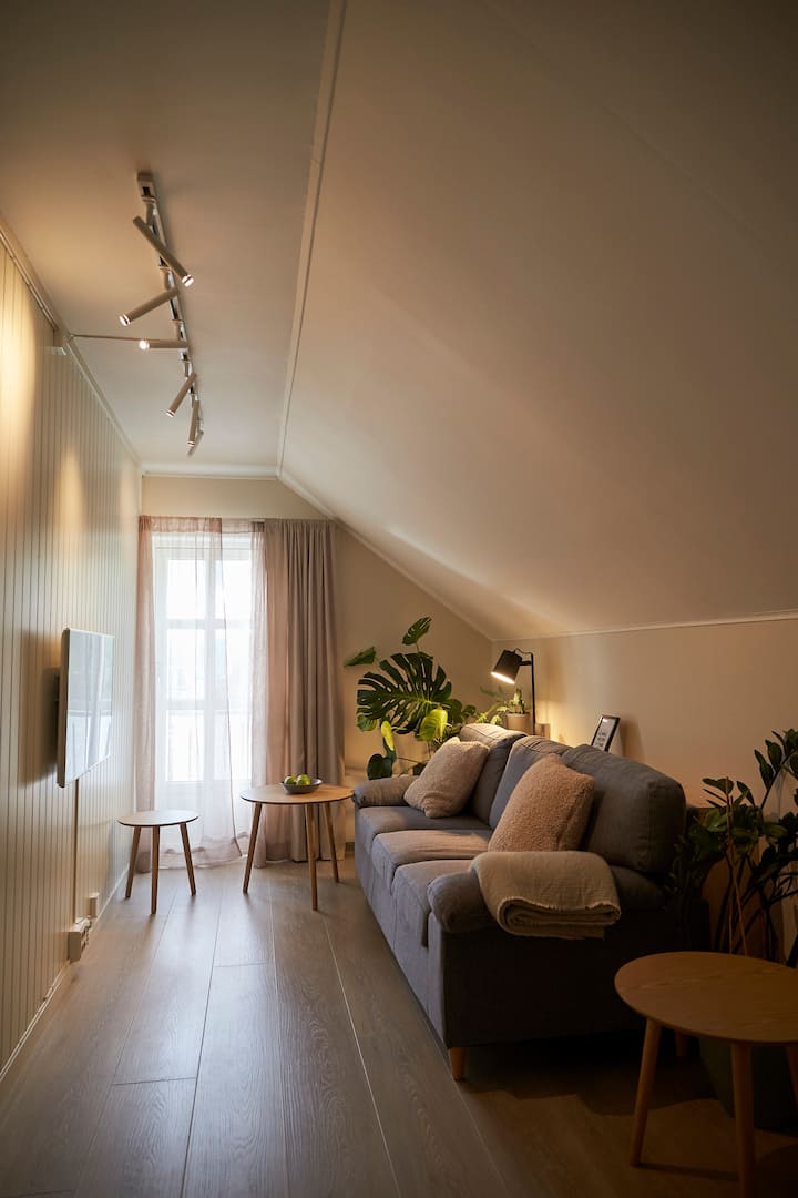 Stilig Og Sentral Leilighet I Tromsø Sentrum - Tromsø