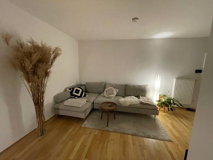 Oktoberfest 10 Min:top 90 Sqm Apartment 2-6 People - Munique