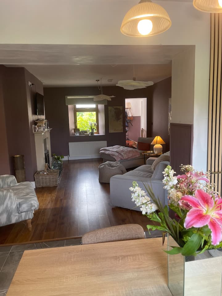 Quaint Cottage In The Midlands - Mullingar