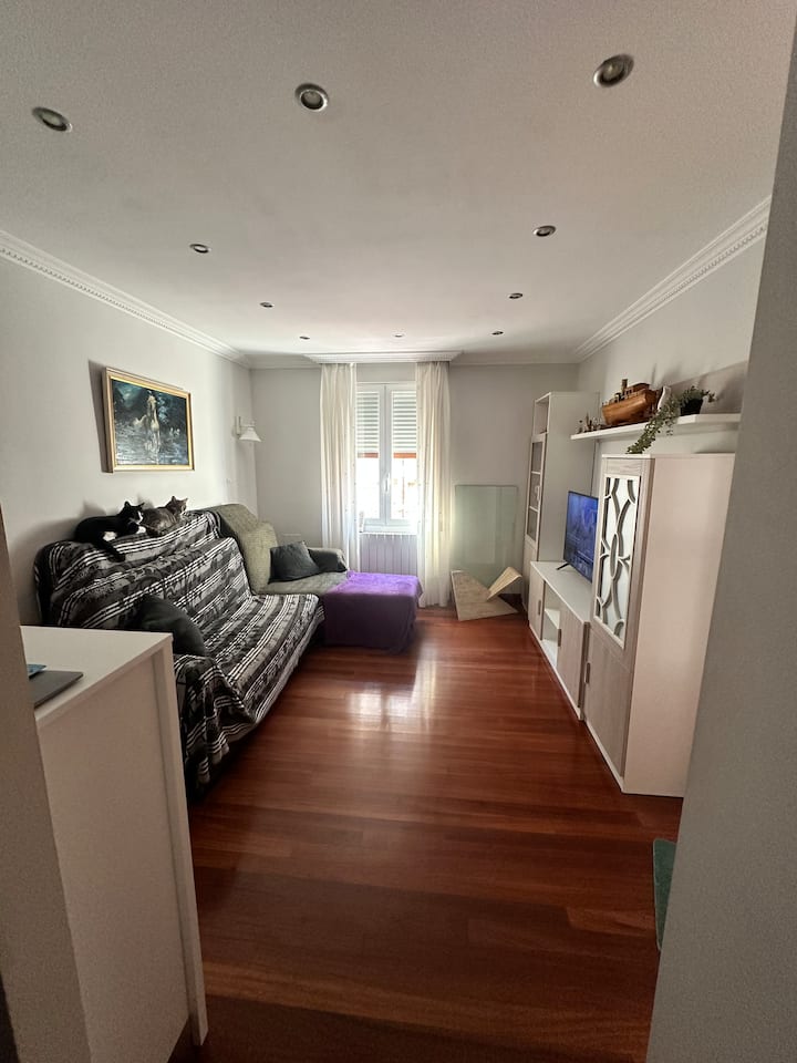 Habitación Cómoda En Bilbao - Bilbao