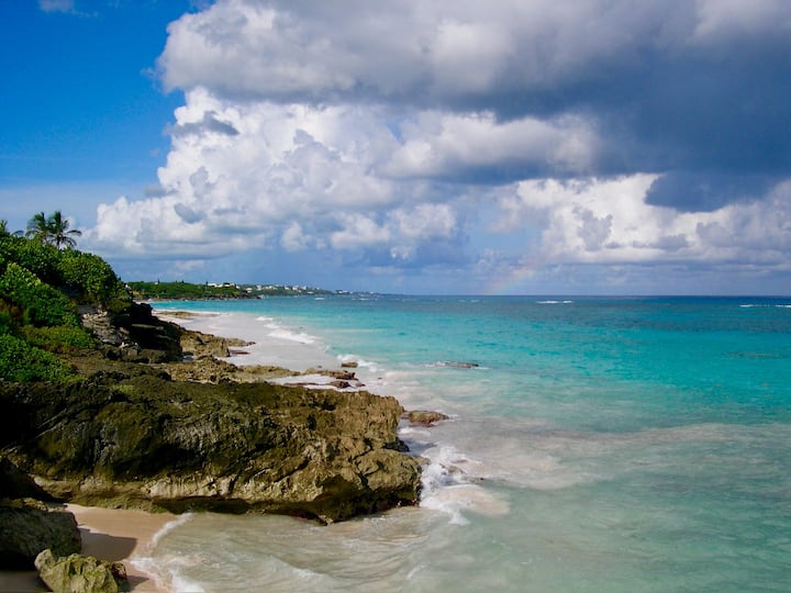 "Poolside" Grape Bay Beach Paget - Bermuda
