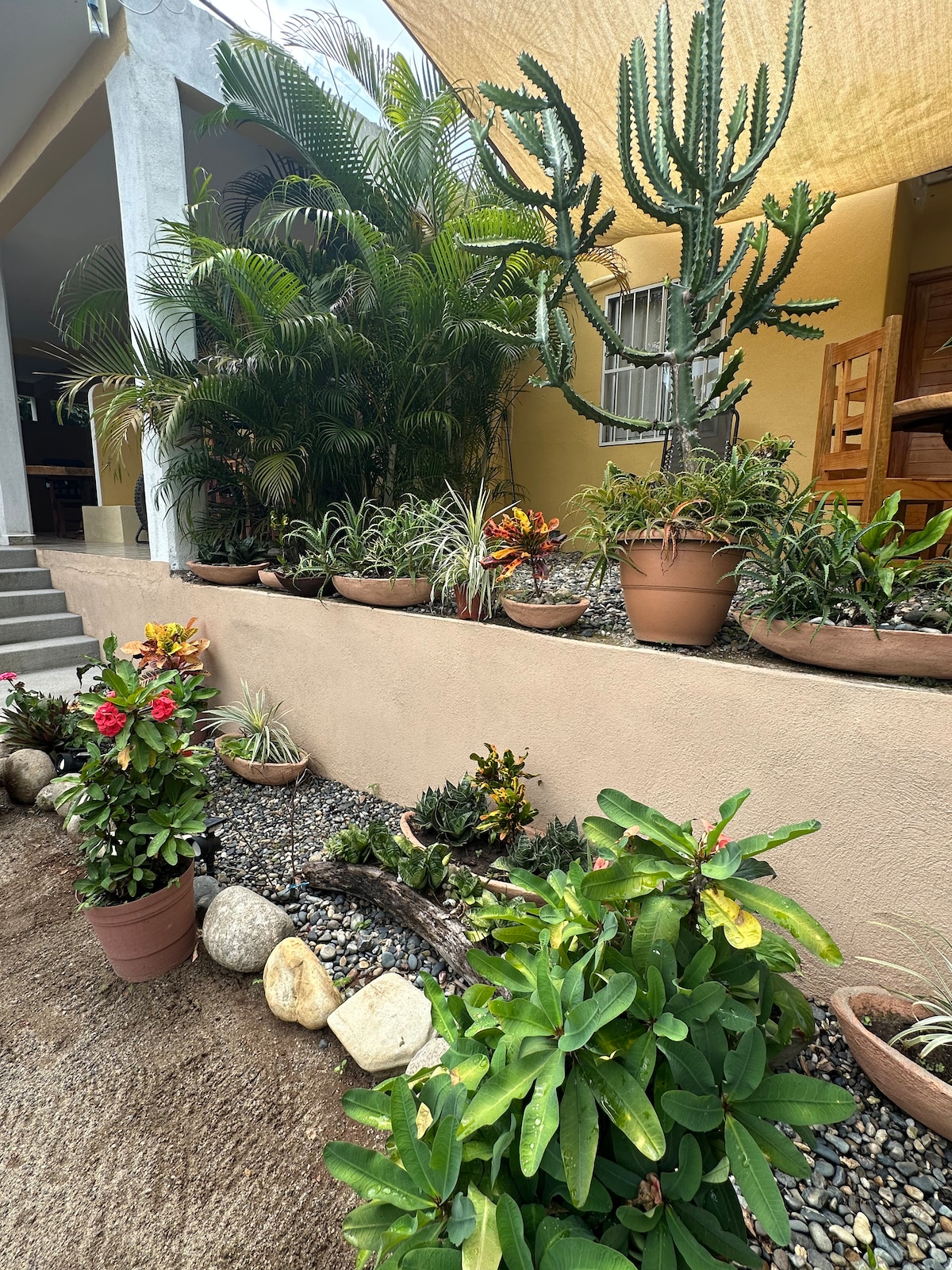 Casa del Río Saladita - Houses for Rent in La Saladita, Guerrero ...