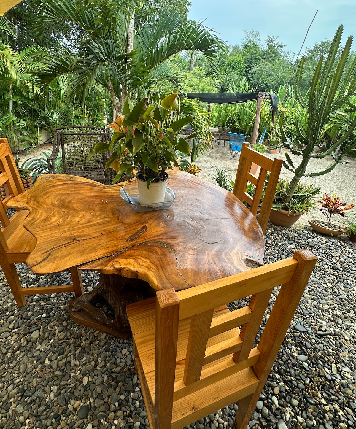 Casa del Río Saladita - Houses for Rent in La Saladita, Guerrero ...