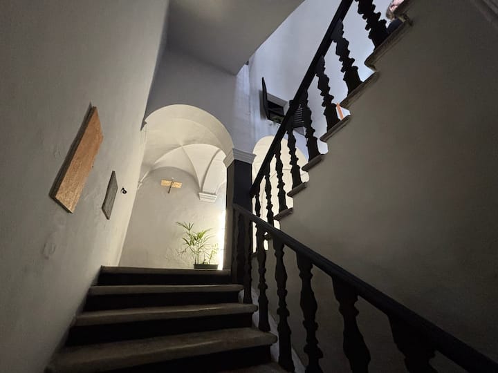 Suite Palazzo Storico "Unique 333" - Faenza